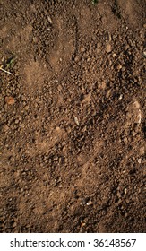 Soil Background Closeup View Fertile Land Stock Photo (Edit Now ...