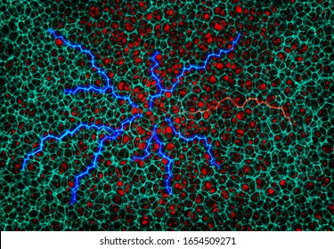 Some Flashes Complex System Symbol Networking Stock Illustration ...