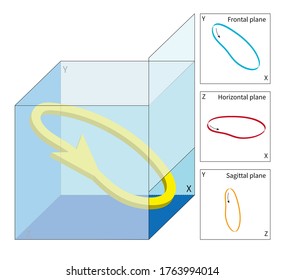 「Qrs」の画像、写真素材、ベクター画像 | Shutterstock