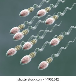 Sperm Cell Stock Illustration 44951542 | Shutterstock