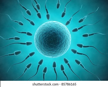 17,989 Sperm and egg Images, Stock Photos & Vectors | Shutterstock
