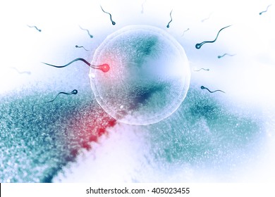 1,113 Human copulation Images, Stock Photos & Vectors | Shutterstock