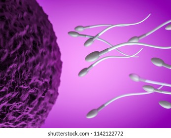 2,902 Sperm egg microscope Images, Stock Photos & Vectors | Shutterstock