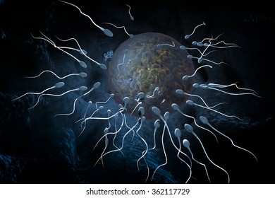 38,146 Reproduction animal Images, Stock Photos & Vectors | Shutterstock