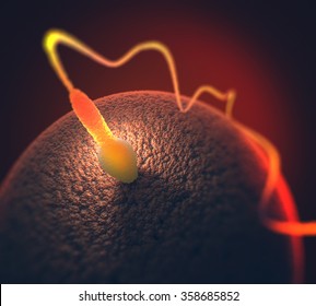 1,115 Human Copulation Images, Stock Photos & Vectors | Shutterstock