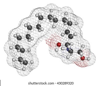 Sfingolipide Images, Stock Photos & Vectors | Shutterstock