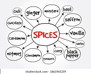 Cricket Mind Map Sport Concept Presentations Stock Illustration ...