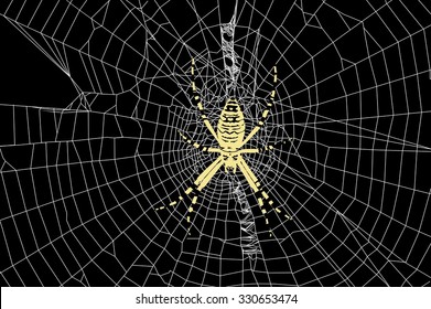 60 Golden wheel spider Images, Stock Photos & Vectors | Shutterstock