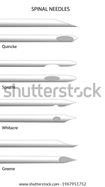 Spinal Needle Different Types Spinal Needles Stock Illustration ...