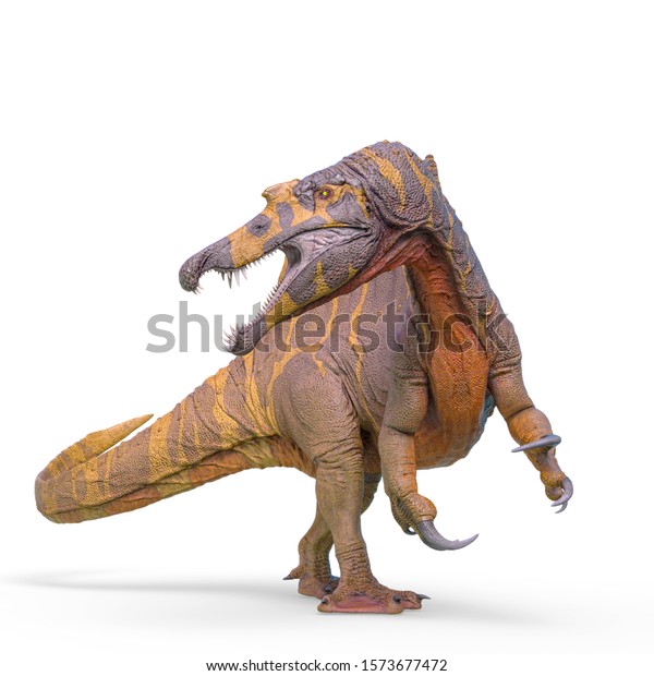 Spinosaurus Looking Back White Background 3d Stock Illustration ...