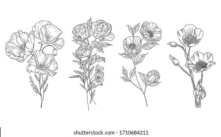 Set Gorgeous Botanical Drawings Spring Flowers Stock Vector (Royalty ...