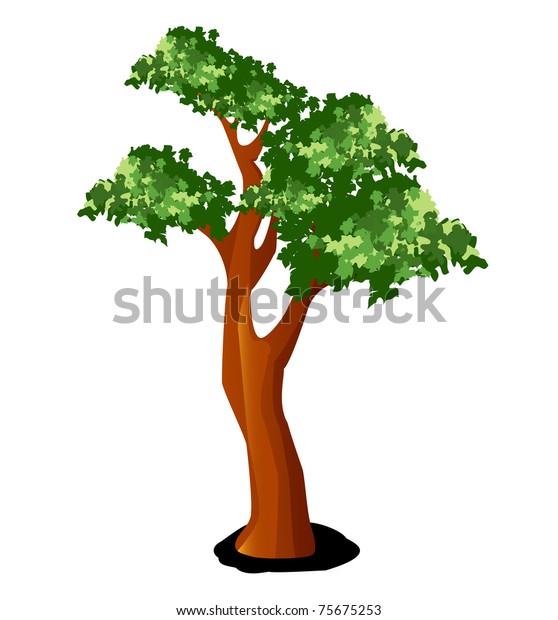 Spring Tree Illustration Stock Illustration 75675253 | Shutterstock