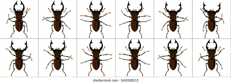 1 631 Bug animation bilder, arkivfotografier og vektorer | Shutterstock