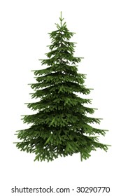 Spruce Tree Isolated On White Background Stock Illustration 30290770 ...