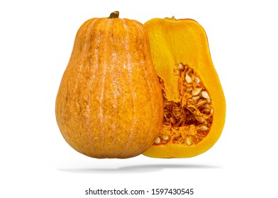 Squash Crosssection 3d Rendering Realistic Texture Stock Illustration ...