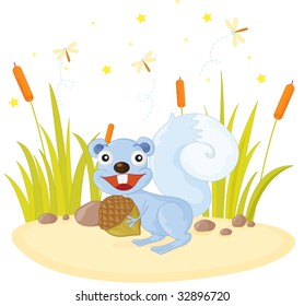 Squirrel Nut Vector Image Available Portfolio Stock Illustration ...