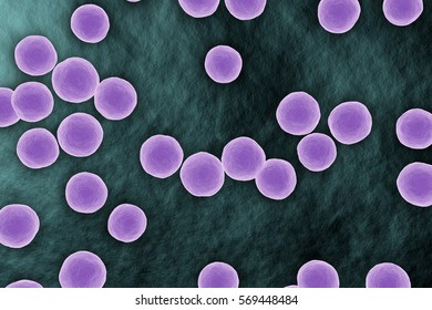 Staphylococcus Bacterium Microscopic View On Surface Stock Illustration ...