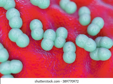 Staphylococcus Epidermidis Bacteria Stock Illustration 389770972 ...