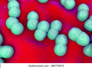 Streptococcus Mutans Bacteria Grampositive Cocci Which 库存插图 602599832 ...
