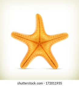 Starfish Realistic Vector Icons: เวกเตอร์สต็อก (ปลอดค่าลิขสิทธิ์ ...