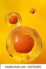 Stem Cell Colony 3d Rendering Stock Illustration 627383555 | Shutterstock