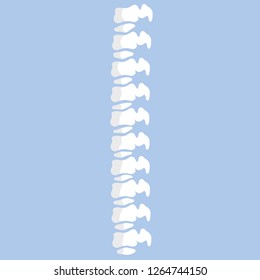 1,200 Straight spine Images, Stock Photos & Vectors | Shutterstock