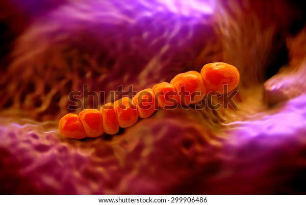 Streptococcus pneumoniae, o neumococo, es una: ilustración de stock ...