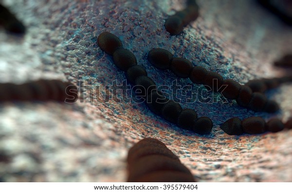 Streptococcus Pneumoniae Pneumococcus Grampositive Coccus Shaped Stock ...