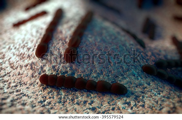 Streptococcus Pneumoniae Pneumococcus Grampositive Coccus Shaped ...