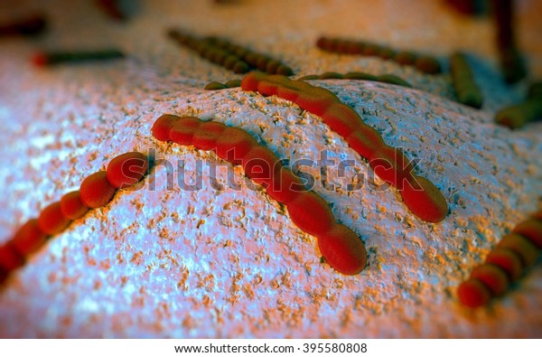 Streptococcus Pneumoniae Pneumococcus Grampositive Coccus Shaped Stock ...