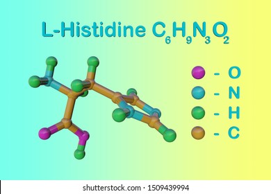 Structural Chemical Formula Molecular Model Lhistidine Stock ...