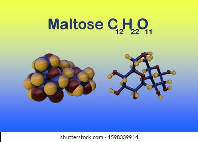 Structural Chemical Formula Molecular Model Maltose Stock Illustration ...