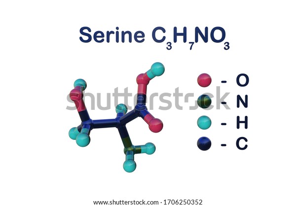 Structural Chemical Formula Molecular Model Serine Stock Illustration ...