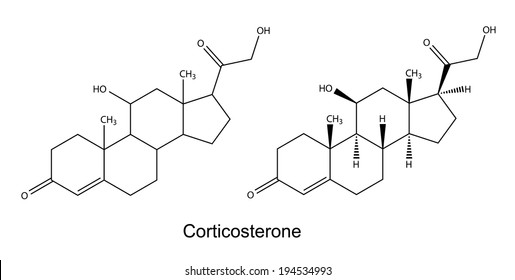Structural Chemical Formulas Aldosterone 2d Illustration 스톡 일러스트 ...