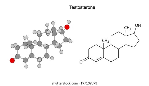 1,406 Testosteron molecule Images, Stock Photos & Vectors | Shutterstock