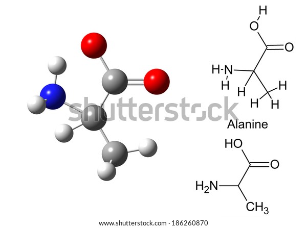 Structural Model Alanine Molecule On White Stock Illustration 186260870
