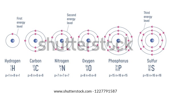Structure Atom Hydrogen Carbon Nitrogen Oxigen Stock Illustration ...