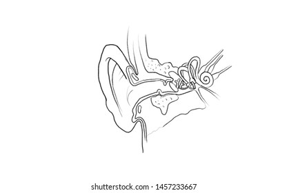 Continuous Line Art Face Sketch Modern Stock Vector (Royalty Free ...