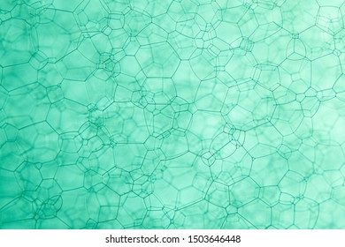 Structure Foam Stock Illustration 1503646448