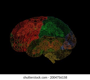 Structure Human Brain On Black Background Stock Illustration 2004756158 ...