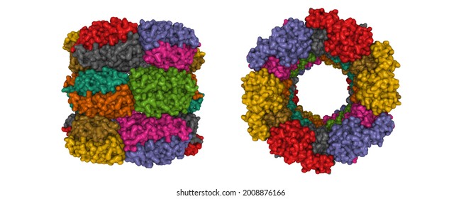 Structure Human Peroxiredoxin 3 Three Stacked Stock Illustration ...