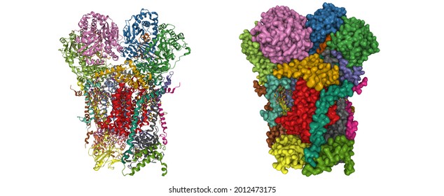 322 Heme Structure Images, Stock Photos & Vectors | Shutterstock