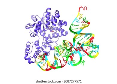 261 Trna Images, Stock Photos & Vectors | Shutterstock