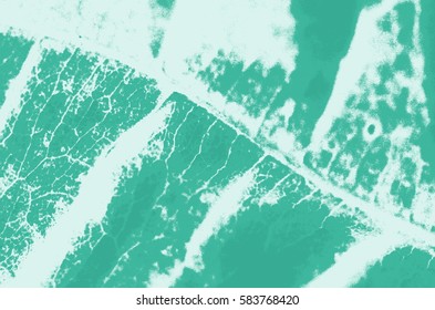 Styled Leaf Blade Striped Texture Aqua Stock Illustration 583768420 ...