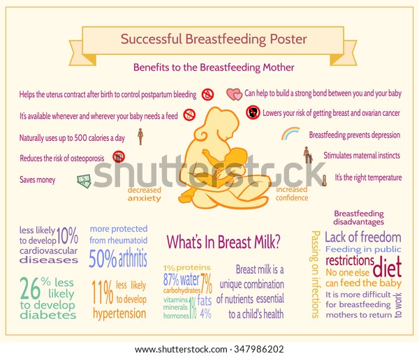 Successful Breastfeeding Poster Maternity Infographic Template Stock ... Successful Breastfeeding Poster Maternity Infographic Template Stock ...