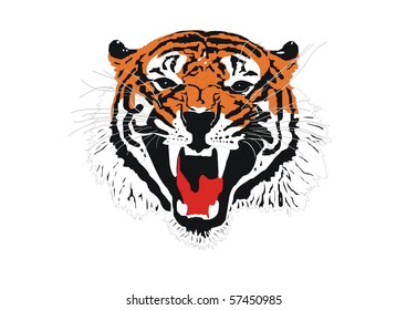 Sumatran Tiger Head Stock Vector (Royalty Free) 58405252