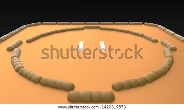 Sumo Ring Black Background Closeup Front Stock Illustration 1420319873 ...