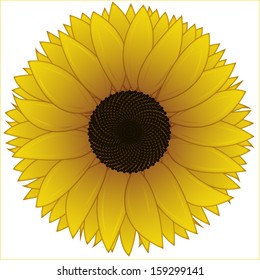 Sunflower Stock Illustration 159299141 | Shutterstock