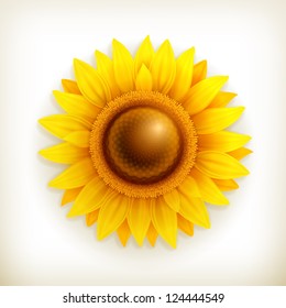 Sunflower Bitmap Copy Stock Illustration 124444549 | Shutterstock