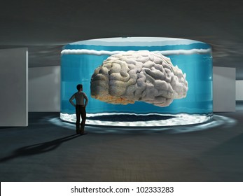 2,414 Super brain Images, Stock Photos & Vectors | Shutterstock